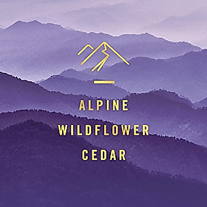 Febreze Touch Fabric Spray, Sneaker Balls Alternative, Couch Cleaner, Refresher Ocean & Mountain, 16.9 oz, Pack of 2,33.8 Fl Oz