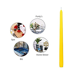 Zest Candle Inch, Yellow 12-Piece Taper Candles, 12", 12 Count