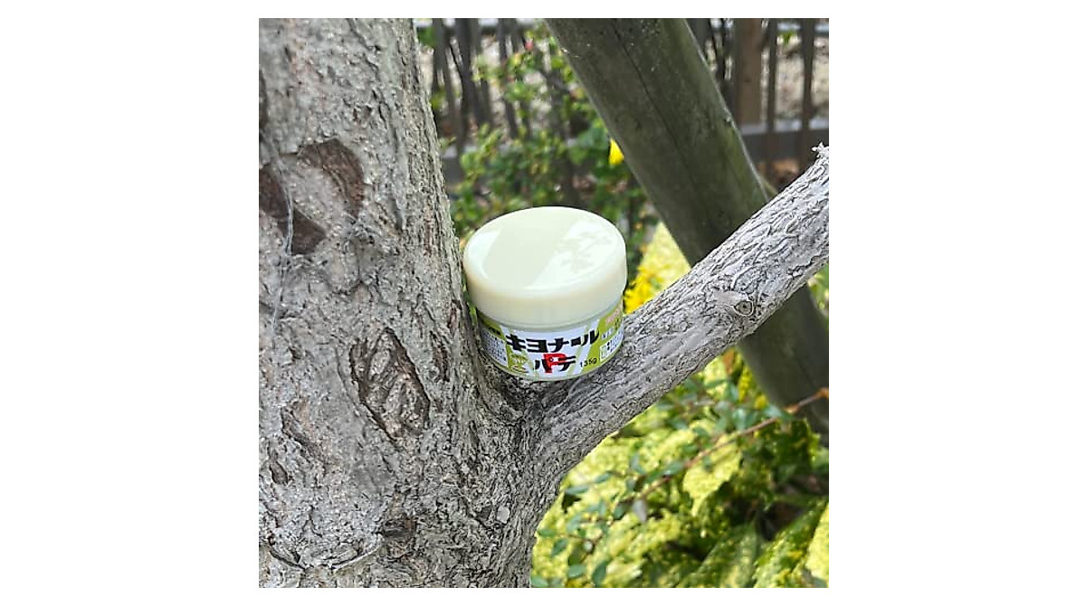 Kiyonal Bonsai Cut Paste - Essential Pruning Sealer