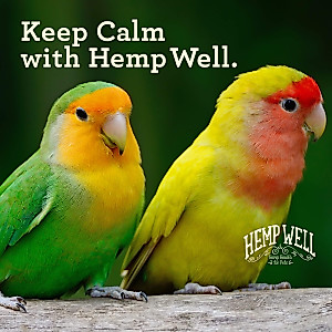 Hemp Well Calm Bird Oil — Relieves Anxiety, Calms and Relaxes Your Bird, Reduces Destructive Behavior, Organically Sourced – 2 Ounces