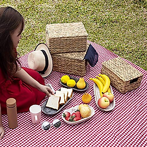 Set of 3 Pack Nesting Storage Baskets with Lids and Insert Handles for Home Organization | Small Closet Wicker Lidded Baskets for Shelves | Straw Wire Woven Storage Baskets with Lids (Water Hyacinth)