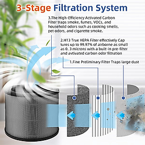 A230 Replacement Filter O for Winix A230 and A231 Air Purifier,3 in 1 H13 True HEPA High-Efficiency Activated Carbon Filter.Compare to Part # 1712-0110-00, 1712011000,2 Pack