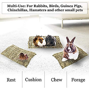 SunGrow Chinchilla Grass Mat, 8” x 11”, Bunny Foraging Straw Bedding Floor Mat for Rabbit Cages and Nesting Box Sleeping, Chew Toy Bed for Guinea Pig, Squirrel, Hamster, Cat and Small Animal