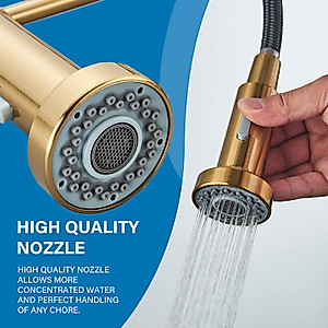 DanPiang Gold Kitchen Faucet,Commercial Stainless Steel Single Handle Pull Down Kitchen Sink Faucet with Deck Plate,Brushed Gold
