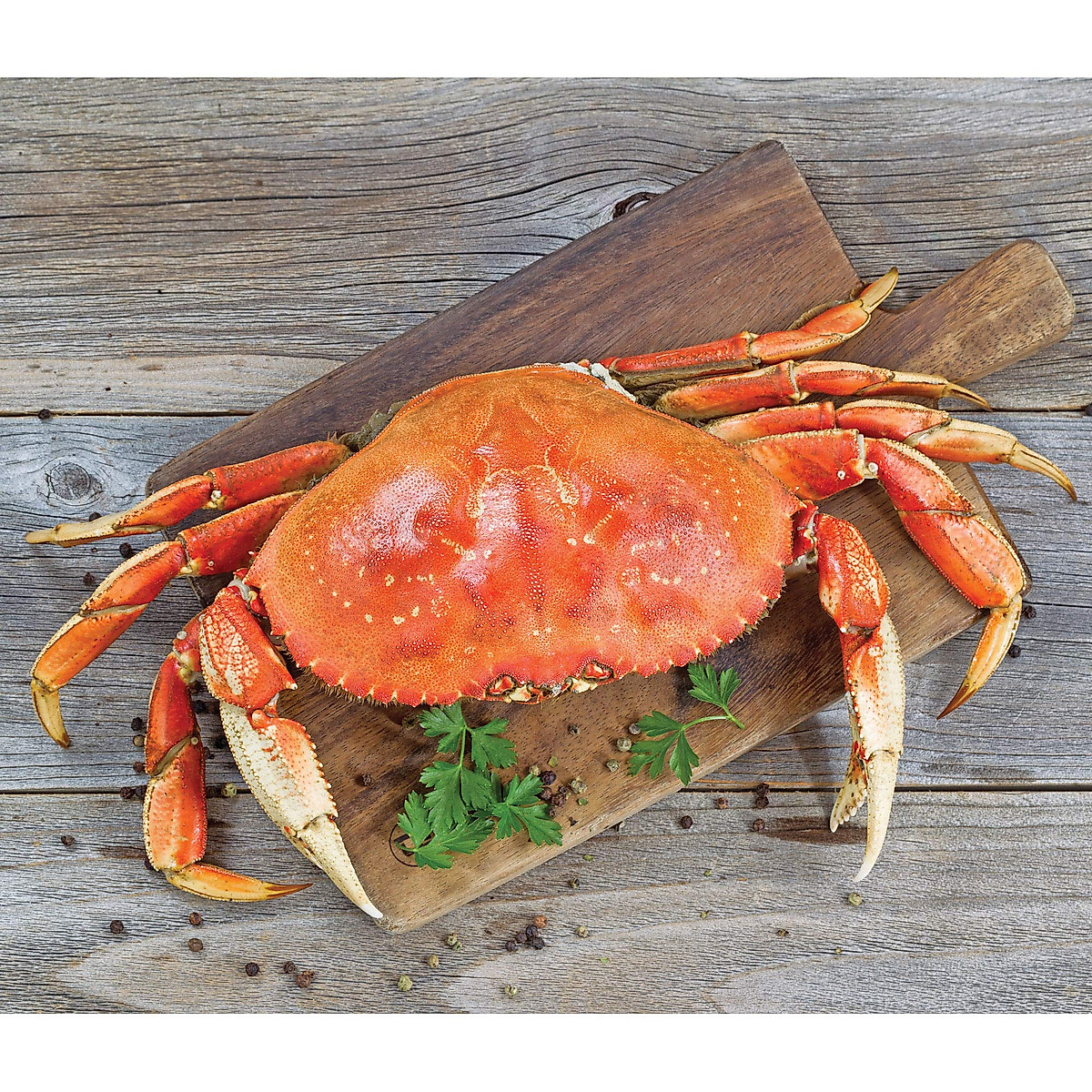 Maine Man Seafood Crab Mallets, Natural Hardwood, 7.75-Inches, Set of 4