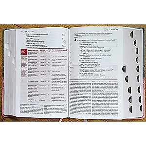 NIV, Life Application Study Bible, Third Edition, Large Print, Leathersoft, Gray/Pink, Red Letter, Thumb Indexed