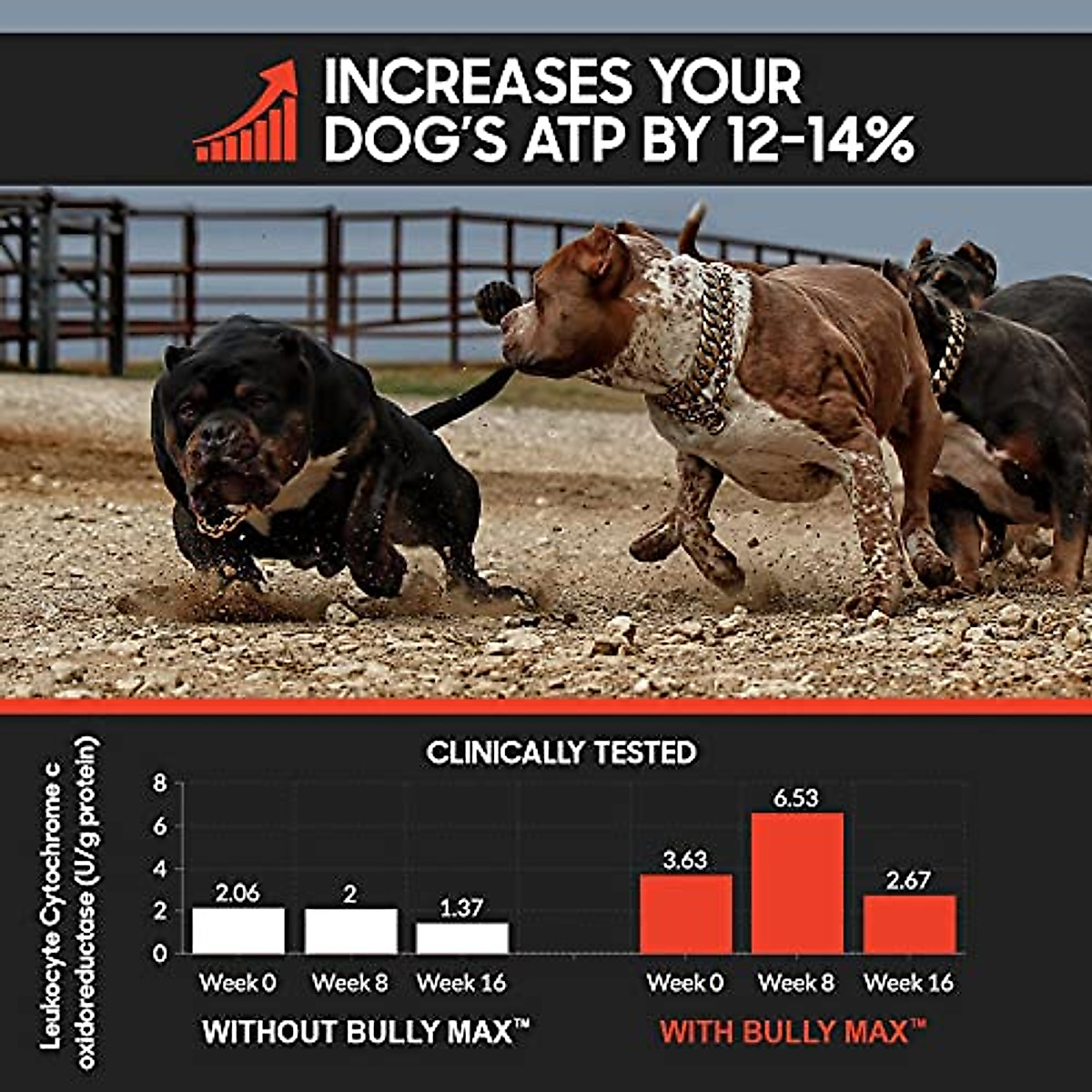 Bully Max 3-IN-1 Liquid Muscle Building Supplement For Dogs. For all breeds & ages. Clinically tested. #1-rated since 2008