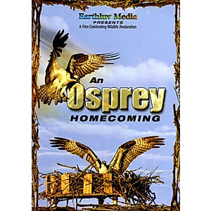 Osprey Homecoming [DVD] [2006] [Region 1] [US Import] [NTSC]