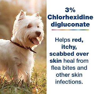 Douxo S3 PYO Shampoo 16.9 oz (500 mL)