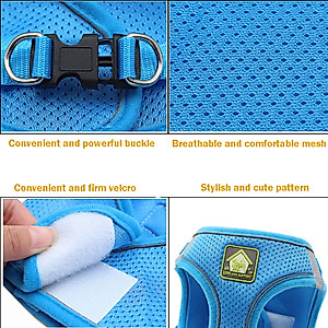 FEimaX Dog Harness and Leash Set, No Pull Breathable Soft Mesh Puppy Vest Harness Reflective Adjustable Pet Harnesses for Small Medium Dogs and Cats - Outdoor Easy Control for Walking