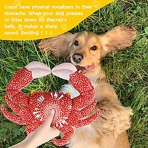 SUJOER Squeaky Crab Dog Toy,Dog Birthday Toy,Interactive Dog Toys for Boredom,Pink Puppy Dog pals Toy,Funny Toys for Dogs to Keep Them Occupied,Cute Best Dog Toys to Keep Them Busy