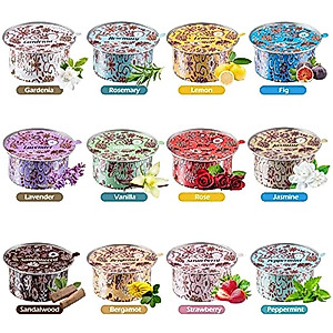 Gift Package Scented Candles Lemon, Fig, Lavender, Spring Fresh,Rose ，Jasmine，Vanilla，Bergamot，Strawberry, Peppermint, Rosemary, Gardenia Natural Soy Wax Portable Travel Tin Candle,Set of 12