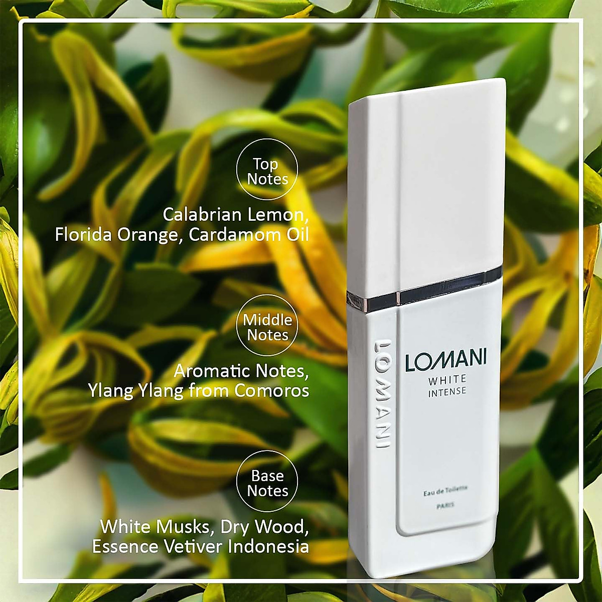 Lomani Lomani Lomani white intense by lomani for men - 3.3 Ounce edt spray, 3.3 Ounce