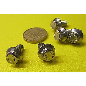 18-8 Stainless Steel 12 Point FT Bolts 1/4"-20 Thread x .500 Length 5 pcs