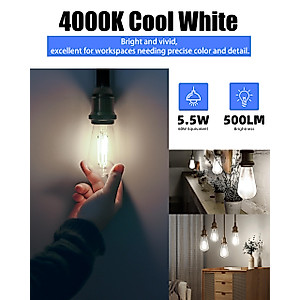 Lumiverse Edison Light Bulbs 60 Watt, 4000K Cool White, Non-Dimmable, Vintage Light Bulbs, E26 Medium Base ST19 Antique LED Filament Bulbs, Clear Glass, Pack of 6