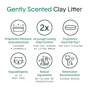 Boxie® Gently Scented 30 Day Natural Odor Control Cat Litter, 40lb Clumping Clay Kitty Litter