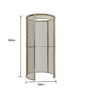 Clothing Store Fitting Room Curtain Frame, Portable Temporary Mobile Privacy Protection Dressing Room, Foldable Mall Simple Changing Room and Display Rack, 200x100cm (Gold Frame)