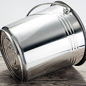 DOITOOL Garden Planters Stainless Steel Trash Can Small Recycle Trash Can Wastebasket Garbage Container Bin Milk Bucket with Handle Lid for Bathroom Kitchen Home Office Ice Bucket Pails