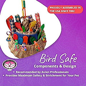 Super Bird Creations SB669 Wicker Foraging Basket Bird Toy with Array of Chewable Toys for Parrots, Medium Size, 10” x 4” x 5”, Varies, 1 Count (Pack of 1)