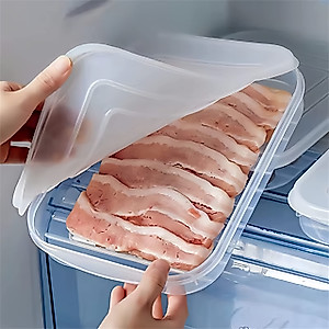 wulikanhua 2 Pack-Plastic Bacon keeper with Lids Airtight, Deli Meat Cold Cuts Cheese Saver Food Storage Containers for Refrigerators, Freezer,Shallow Low Profile Christmas Cookie Holder