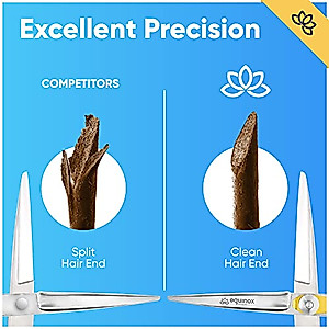 Equinox Professional Razor Edge Series Barber Hair Cutting Scissors - Japanese Stainless Steel Salon Scissors - 6.5” Overall Length - Fine Adjustment Tension Screw - Premium Shears for Hair Cutting