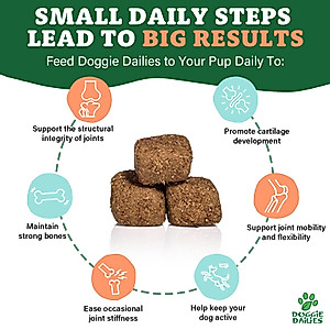 Doggie Dailies Glucosamine for Dogs - 120 Chews - Joint Supplement for Dogs of All Breeds & Sizes - Hip and Joint Supplement for Dogs - Premium Glucosamine and Chondroitin for Dogs (Chicken)