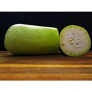 Gaea's Blessing Seeds - Bottle Gourd Seeds - Opo Squash - Non-GMO Seeds with Easy to Follow Planting Instructions - NAM Tao Yao Heirloom 94% Germination Rate