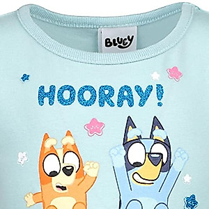 Bluey Bingo Toddler Girls Dress 4T Blue
