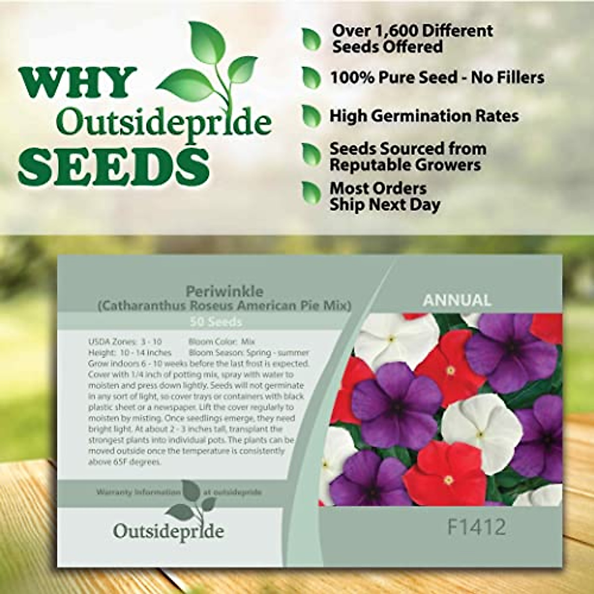 Outsidepride Vinca Periwinkle American Pie Garden Flower, Ground Cover, & Container Plant Mix - 50 Seeds