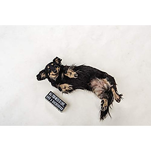 Primitives by Kathy Box Sign,Wood, 6" x 2.5", All You Need Is Love… And A Dachshund (24986)