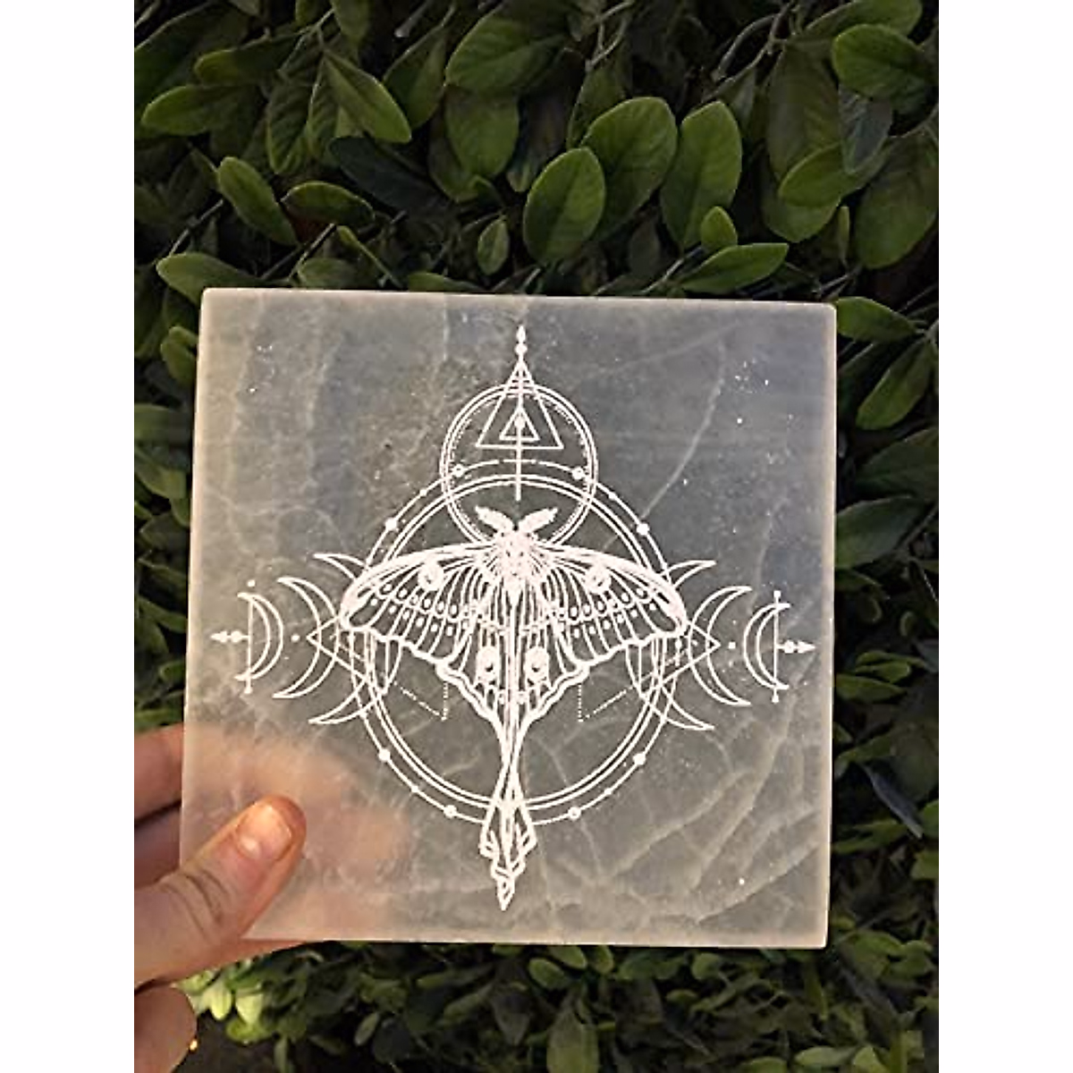 CrystalsAhoy 6" Etched Selenite Charging Plate, E3344 Moth Designs