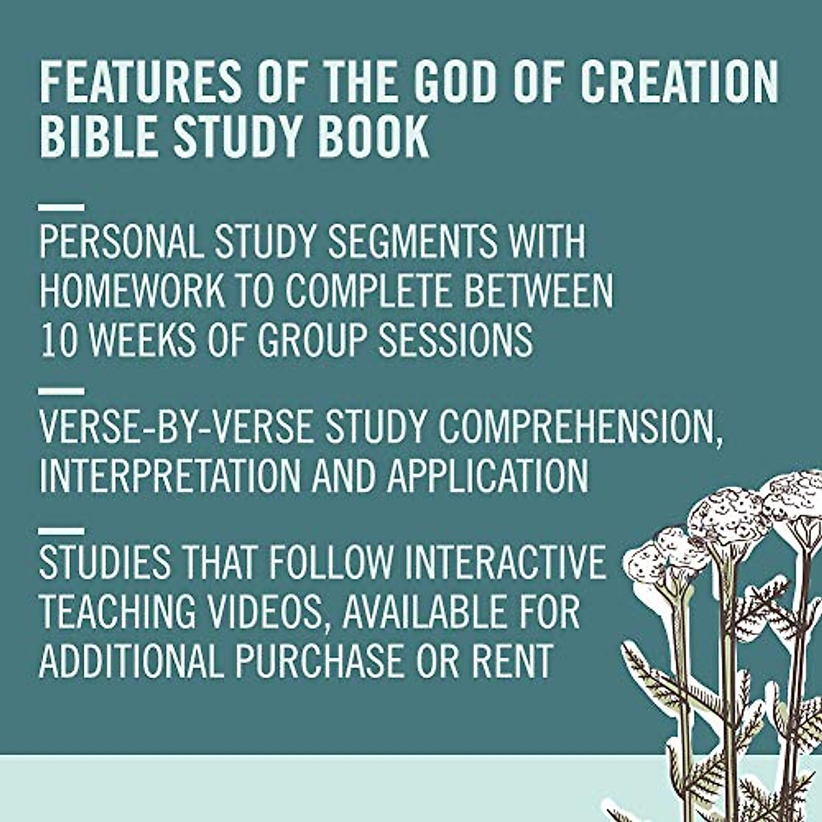 God of Creation - Bible Study Book: A Study of Genesis 1-11