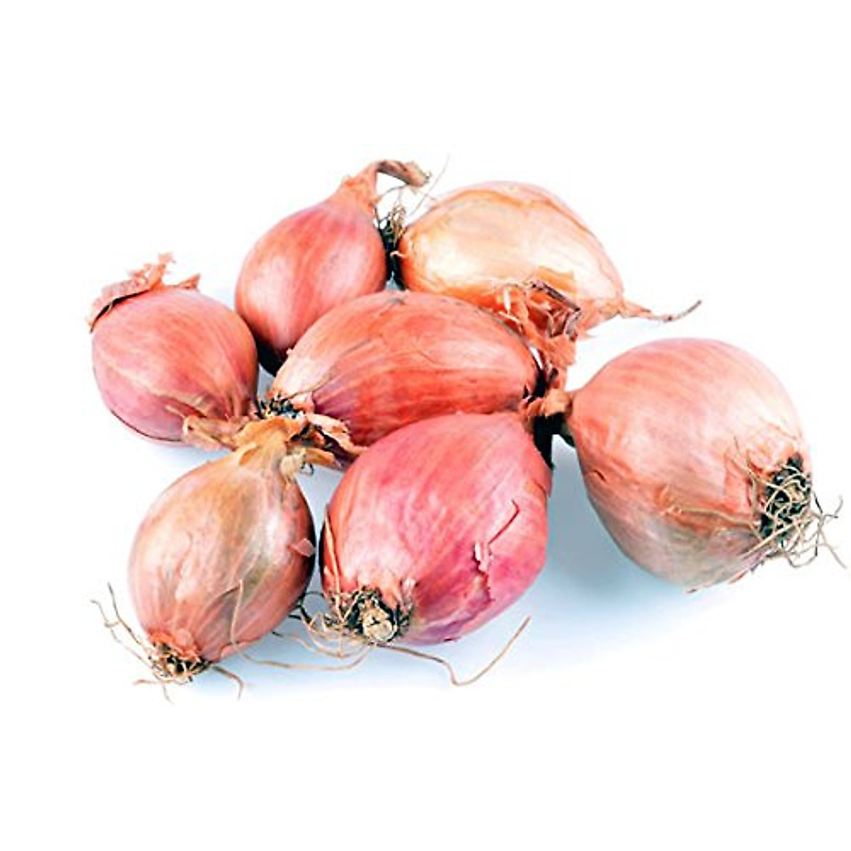 French Shallots 1 lb.