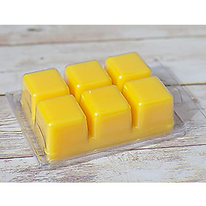 Summer Day Wax Melts Honeysuckle + Jasmine | Floral Scent Melts Clamshell | Valentines Day Aromatherapy Gift for Mom - 3 oz.
