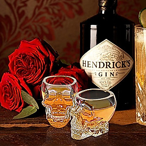 MyGift Clear Glass Novelty Skull Face Liquor Shooter Shot Glasses, Decorative Halloween Drinkware - 2.8 oz, Set of 6