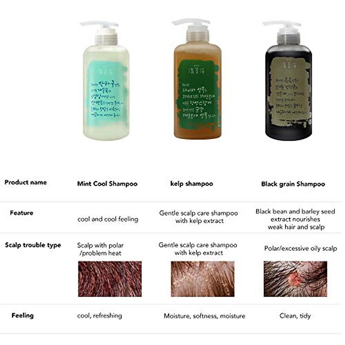 [ChungMiJung] Kelp Small Scalp Shampoo Dandruff Shampoo 500ml-organic 18 Ingredients from Nature for Sensitive Skin Korean Skincare,16.91 Fl oz (Pack of 1)