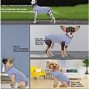 Wabdhally Dog Surgery Recovery Suit,Surgical Recovery Female Spay Suit for Small Dogs Cats,Surgery Recovery Multi Purple Onesie S