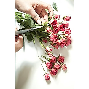 Edward Tools Pruning Snips Set (2) - Floral Scissors and Bypass pruners - Precise pruning flowers, fruit trees, bonsai, grapes - Carbon Steel blades - Safety lock design