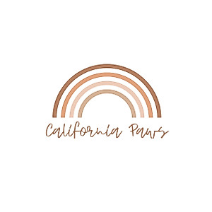 Big Bro Dog Bandana Pregnancy Announcement Baby Announcement to Grandparents (X-Large)