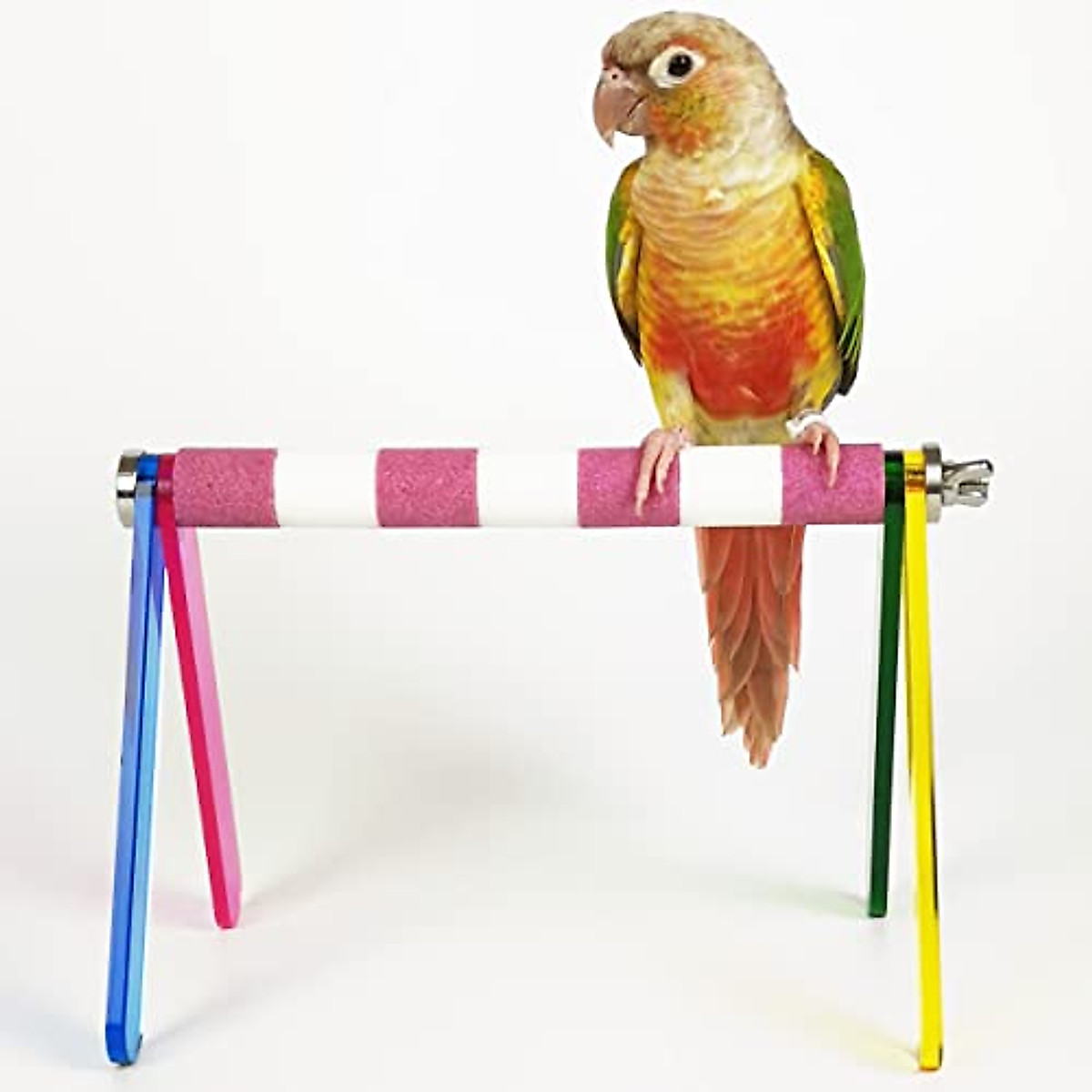 Parrot Play Stand Portable Bird Training Perch Rough-surfaced Corundum and Stainless Steel 8" (Red)
