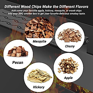 Skyflame Stainless Steel Smoker Box with Canister Can, Double V-Shape BBQ Wood Chips Smoky Box Designed by Wavy Vent and Hinged Lid, 12” Compact Size for Gas/Charcoal Grill Kebob Smoky Grilling