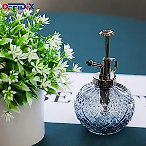 OFFIDIX Plant Mister, Vintage Glass Spray Bottle, Flower Mister 300ML Small Watering Can with Plastic Top Pump, Spray Bottle for Garden, Plants, Cleaning (Gray)