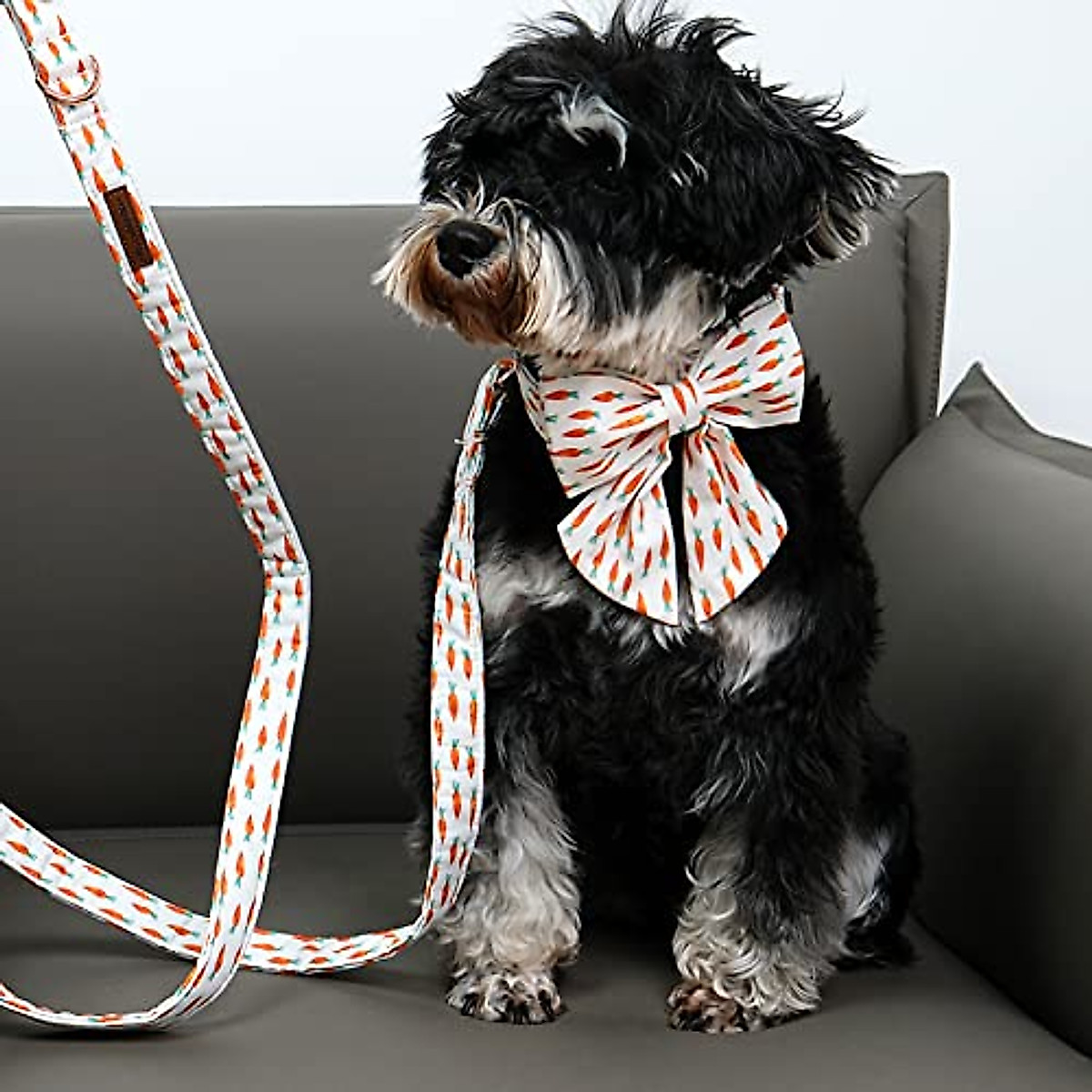 MR. CHUBBYFACE Easter Dog Collar Carrot Dog Collar with Flower Adjustable Dog Collar Bowtie for Small Medium Large Dogs