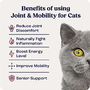 Summit Animal Health Lift Feline Pain Relief Supplement Inflammation Hip & Joint Support Vitamin for Cats - Natural Chondroitin with Liposomal Delivery for Arthritis - Drug Free - All Ages