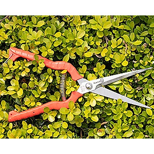 Sanung 2 PACK Multifunctional Thin Fruit Scissors, P-905 Garden Pruner Shears Cutters with Anti-Slip Grip High-Grade Spring Lock Garden Pruner for Garden Fruits Vegetables Plants Flowers