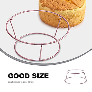 DOITOOL 2Pcs Bread Cooling Rack Stainless Steel Non Stick Cooking Stand Cookies Cakes Drying Rack Bread Storage Holder Baking Supplies Rose Gold