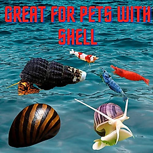 Organic Calcium and Magnesium Powder 7oz 198g for Your Pet with a Shell, All Land/Water Snails, All Crabs, All Turtles, All Egg Laying Pets, White