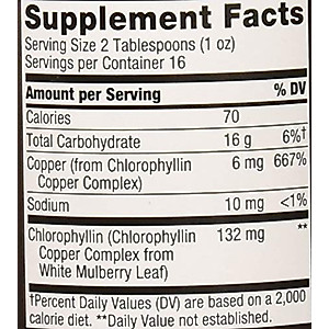 Nature’s Way Chlorofresh, Supports Detoxification Pathways*, Liquid Chlorophyllin Copper Complex, Supports Healthy Skin*, Internal Deodorant*, Mint Flavored, 16 Fl Oz.