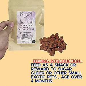 PETIVORE Premium Kobe Steak for Sugar Glider and Small Exotic Pet (Hamster, Squirrel, Chinchillas, Marmoset) Happy Treats, Snacks and Food (50g)