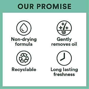 Batiste Dry Shampoo, Volumizing, 4.23